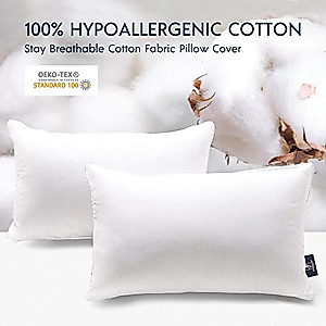 Phantoscope Bundles, Farmhouse Burlap Linen Trimmed Pillow Cover, Off White, 12 x 20 inches & Hypoallergenic Cotton Pillow Insert 12 x 20 inches