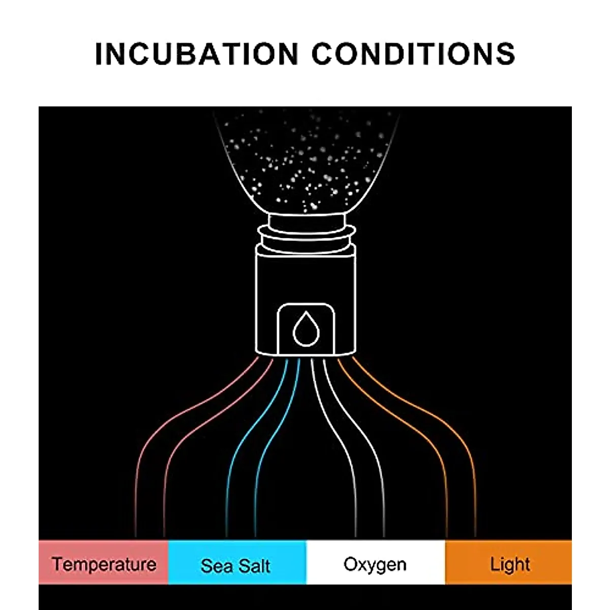 Clscea Aquarium DIY Brine Shrimp Incubator Hatchery Kit Simple