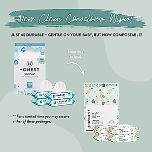 The Honest Company Clean Conscious Wipes | 100% Plant-Based, 99% Water, Baby Wipes | Hypoallergenic, Dermatologist Tested | Geo Mood, 288 Count