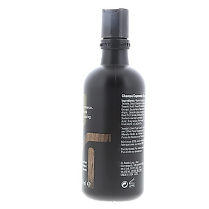 Aveda Pure-Formance Men's 10-ounce Shampoo