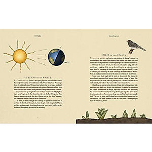 The Wheel of the Year: An Illustrated Guide to Nature's Rhythms