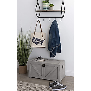 Kate and Laurel Cates Classic Farmhouse Small Wooden Storage Chest Trunk, Gray, Modern Farmhouse Decorative Storage Chest