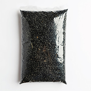 Schoen Farms Black Oil Sunflower Seeds for Birds (6 LBS)