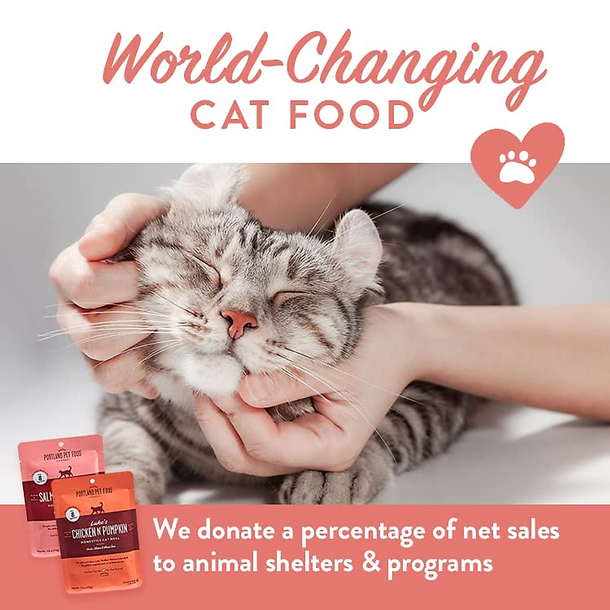 Human-Grade Mixed Variety Pack Wet Cat Food Pouch — Moist, Soft Cat Food Mixer, Topper, and Rotational Meal (Salmon, 12 Pack) by Portland Pet Food Company