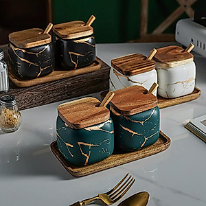 EIMQUVW Sets of 2 Marble Ceramic Seasoning Jars Ceramic Sugar Salt bowl Condiment Pots with Wooden Lids,Wooden Spoon and Wooden Tray(White)