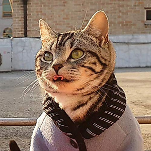 Pet Cat Dog Outdoor Hoodies Clothes for Puppy Cape Soft Cotton (Large)