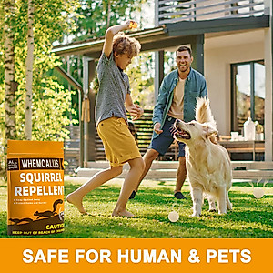 Fasderceg Squirrel Repellent Squirrels Away -8P