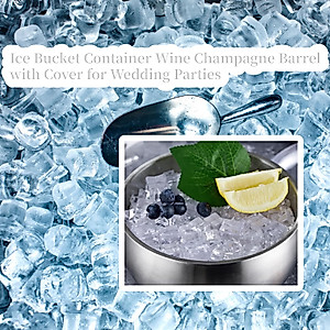 AUNMAS Double-Wall Stainless Steel Insulated Ice Bucket with Lid, 2 L, Spherical, Silver, Keeps Ice Cold & Dry for Home Bar, Chilling Beer Champagne and Wine