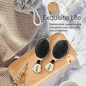 Hair Brush-Sofmild Mini Bristle Hairbrush with Nylon Pins+Travel Size Detangler Oval Hairbrush For Men Women And Kids,Convenient To Carry-2Piec