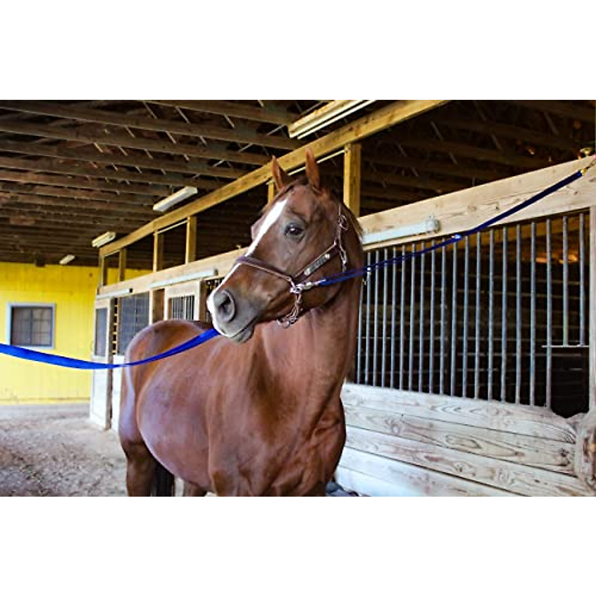 Tack Shack of Ocala Nylon Cross Ties, Set of 2 Cross Ties, Cross Ties for Horses, Quick Release Cross Ties, Stable Supplies, Stable Supplies for Horses (Hunter)