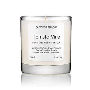 Outdoor Fellow Tomato Vine Luxury Scented Candle, 40+ Hour Burn Time, Coconut & Apricot Wax Blend, Best Smelling Luxury Tomato Candle for Home, (8oz)
