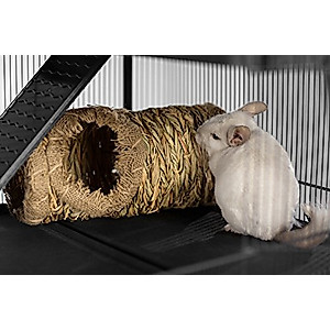 Prevue Hendryx 1098 Nature's Hideaway Grass Tunnel Toy, 13.5" x 6 "