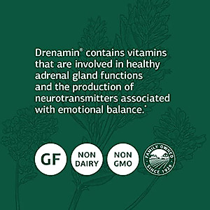 Standard Process Drenamin - Whole Food Antioxidant, Adrenal Support and Immune Support with Shitake, Alfalfa, Rice Bran, Riboflavin, Calcium Lactate, Choline - 270 Tablets