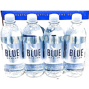 Blue Spring Living Water, Pure Premium Natural Spring Water, pH balance of 7.1-7.2, Bottled Spring Water, 16.9 Fl Oz, (Pack of 12)