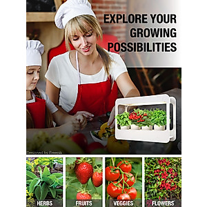 TORCHSTAR LED Indoor Herb Garden, CRI 95+, Herb Grower Light with Timer, Indoor Gardening System, Full Spectrum Light, 24V Garden Kit for Plant Grow Novice, White, 4000K, Pots & Plants Not Included