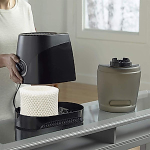 ITidyHome 4 Pack Replacement Humidifier Filter Wicking Compatible with Honeywell HC-888, HC-888N, Filter C,Designed to fit HCM-890 & HEV-320 & DCM-200 & DH-890