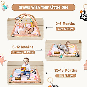 Kidikools Foldable Baby Play Mat, Baby Travel Essential, Portable Tummy Time Mat Baby Activity Center for 0-12 Months, Baby Play Gym, Outdoor Baby Mat for Floor with Sunproof Canopy Net 6-in-1