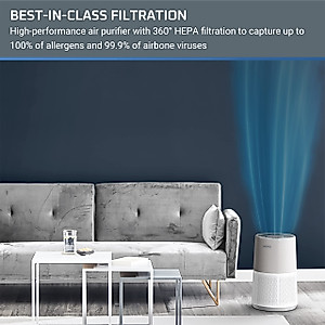 Rowenta Pure Air City Air Purifier 876 Square Foot Room Dust Pet Dander Smoke Mold Pollen Bacteria Virus Allergen, Odor Removal, for Home Office Nursery, HEPA Filter PU2840