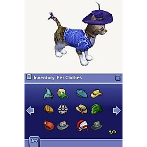The Sims 2: Apartment Pets - Nintendo DS (Renewed)