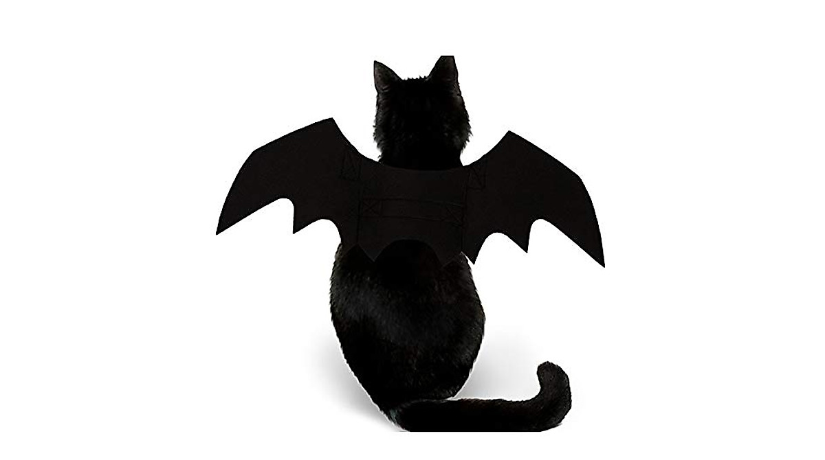 Cute Cat Bat Wings for Halloween Dressing Up