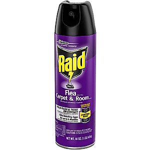Raid Flea Killer Carpet and Room Spray (16 Ounce (Pack of 6))