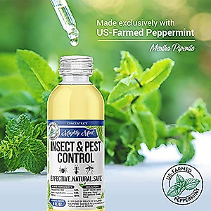 Mighty Mint Peppermint Oil Insect & Pest Control Spray with Concentrate - Makes 1 Gallon