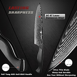 aisyoko 8C Damascus Knife Set 3PC Chef Knife,Kitchen knife,paring knife,High Carbon Stainless Steel,Ergonomic Full Tang ABS Anti-Skid Handle,Professional Japanese Cooking Knife with Luxury Gift Box