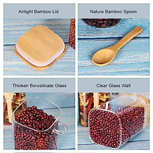 LEAVES AND TREES Y Set of 6 Square Glass Jars with Bamboo Lids and Spoons, 17 OZ Airtight Small Glass Tea Containers for Loose Tea, Coffee and Sugar Glass Container for Yogurt Jars with Lids