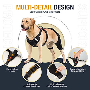 Dog Knee Brace Support for Torn ACL Leg, Dog Hip Dysplasia Brace, Full Body Fixation Ensures Stability, Dog Knee Braces Relieve Aching Muscles and Reduce Joint Pain and Inflammation (Size:L)