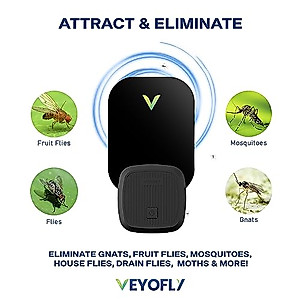 VEYOFLY Flying Insect Trap for Indoors - Plug-in Fly Traps: Catch Fruit Flies, Mosquitoes, Gnats, Moths & Other Insects with UV Light and Sticky Board - Gnat Killer for Home. (2-PK Device Black)