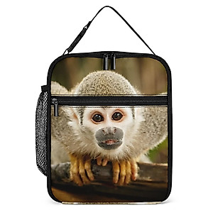 MINBHEBYUD Squirrel Monkey Jungle Lunch Bag for Men Women, Insulated Lunch Bags for Office Work, Reusable Portable Lunch Box