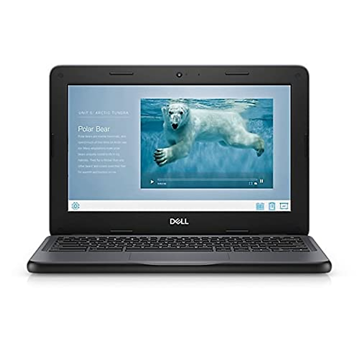 Dell Chromebook 11 3100 11.6" Yes Chromebook - HD - 1366 x 768 - Celeron - 4GB RAM - 32GB Flash Memory