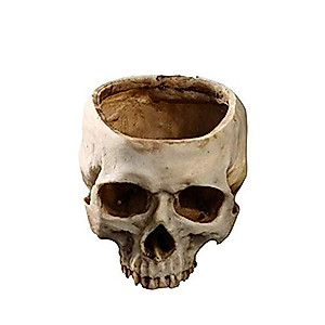 RMM Halloween Decoration Retro Human Skull Head Flower Pot Planter Bed Box Container Replica Home Bar Décor,Clear