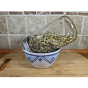 Variety Pack Sprouting Seeds Broccoli, Alfalfa, Radish, Mung beans & Salad Mix for Sprouts and Microgreens. Non-GMO. Pack of 10 premeasured seeds for quart size jars or trays. Includes 2 packs of each