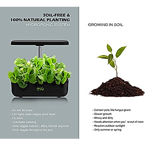 50 Packs Replacement Grow Sponges for QYO Hydroponics Herbs Garden kit, Seed Starter Sponges Pods Replacements Compatible with Aerogarden, Root Growth Sponge Plugs for Hydroponic Indoor Garden System