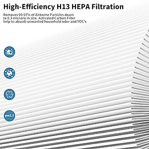 G3 A3 HEPA Filter Compatible with AMEIFU G3 (Sferf-30)（FXAP2W） Air Purifier, VEWIOR A3 Air Purifier & Tailulu HQZZ-260 Air Purifier, 3-in-1 True HEPA Air Cleaner Filter, 4 Pack