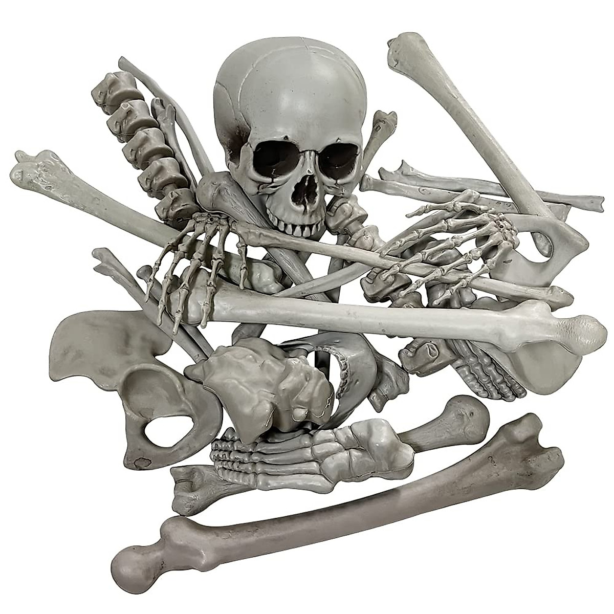 Halloween Skeleton Bones Realistic Looking Skulls Human Skeleton For Halloween Scary Graveyard Haunted House Lawn Yard Decorations(28 pieces）