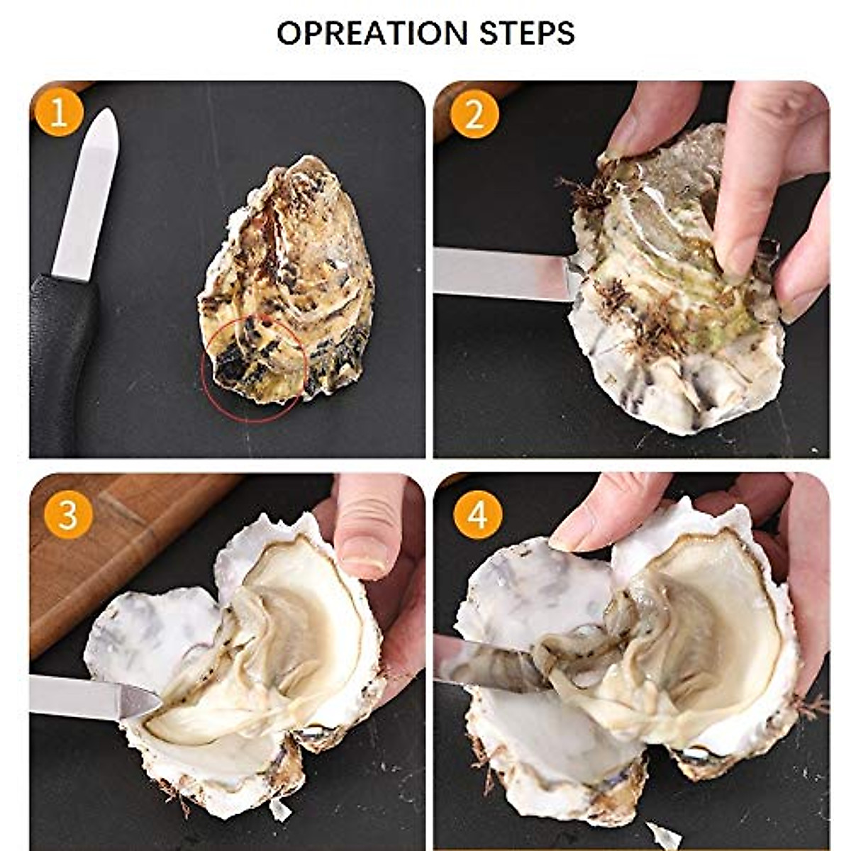 Zsirue Oyster Shucking Knife, 2.75" New Haven Style Oyster Shucker Clam Knife with Non-Slip Poly Handle, Seafood Opener Seafood Tools (White)