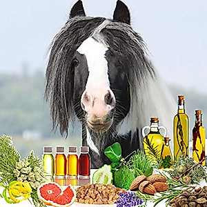 The Blissful Horses Relax Spray Aromatherapy All Natural Support for Your Horse's Anxiety
