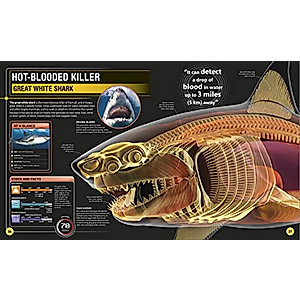 Super Shark Encyclopedia: And Other Creatures of the Deep (DK Super Nature Encyclopedias)