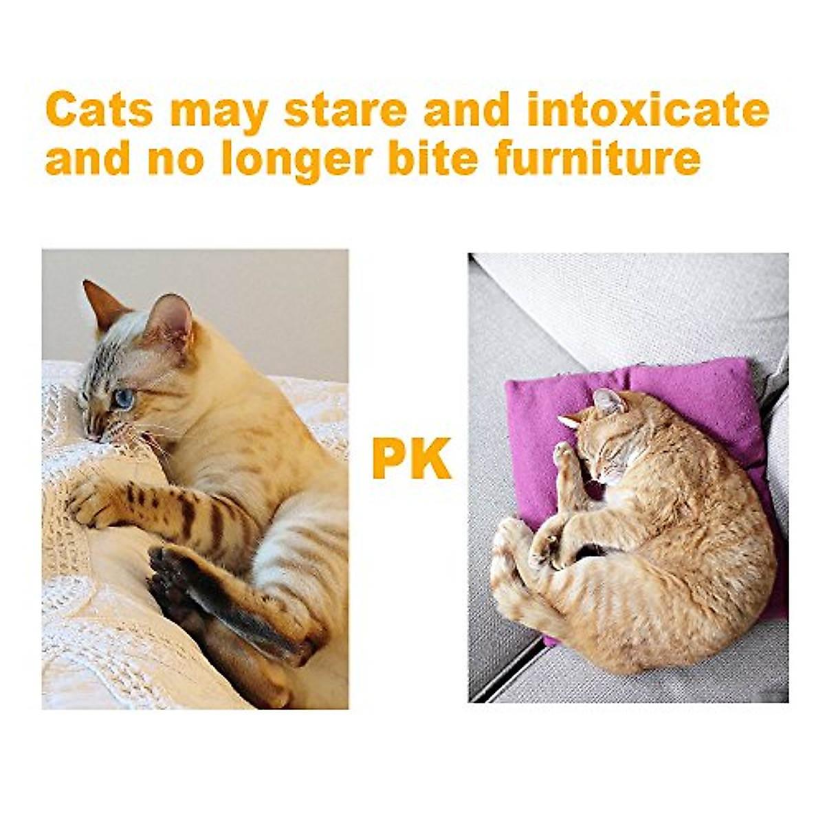 MR-BABULA Premium Natural Catnip, Selected Fresh Catnip Leaves & Bud (3OZ)