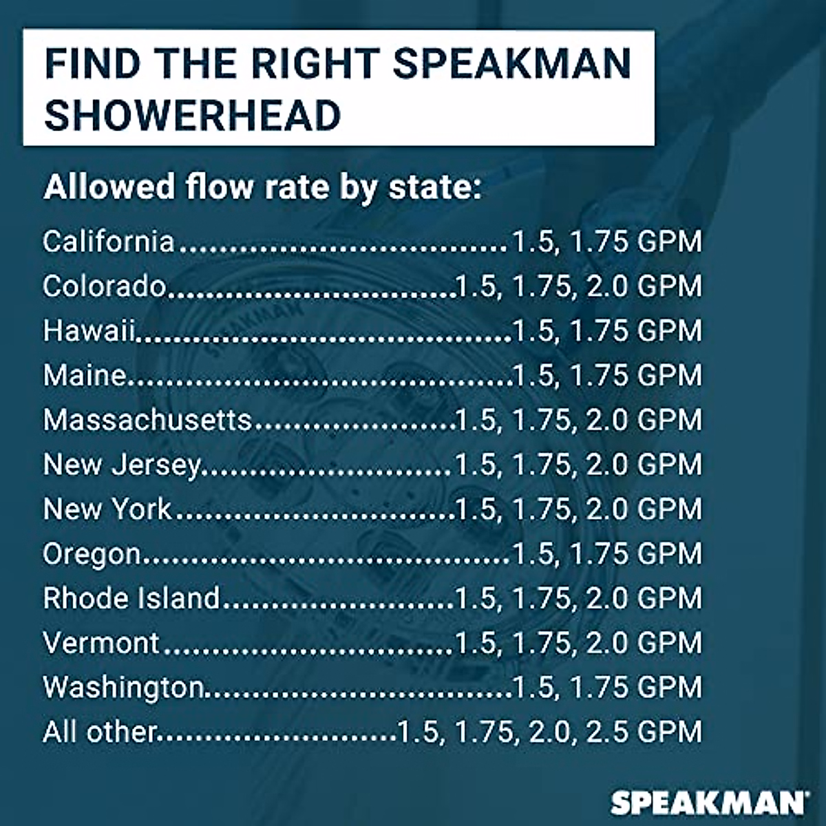 Speakman SC-1240-LH Commander Exposed Indoor/Outdoor Shower System with Extended Arm, Polished Chrome