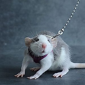 Adjustable Fancy Rat Hamster Harness Rat Guinea Pig Training Walking with Bell Leather Leash Reptile Harness Suitable for Small, Medium，Large Rats or Reptiles (Purple)