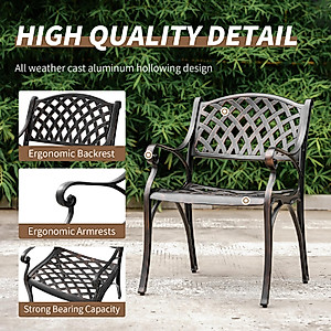 PATIO-IN Cast Aluminum Patio Dining Chairs Set of 2 Outdoor Patio Bistro Chairs with Armrest,Metal Patio Furniture Chair Set for Garden,Patio Chair Bronze