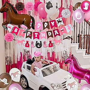 Western Cowgirl Pink Birthday Party Decoration, Retro Horse Rodeo Party Supplies for Girls Including Birthday Banner, Horses Garland, Horse Star Balloons, Tissue Pom Poms, Cake Toppers (Pink Cowgirl)