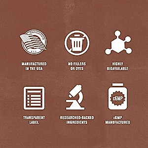 Authentic Vegan Plant Based Protein Powder - 22g of Muscle Building Protein - No Soy, Non-GMO - Sourced from Organic Peas, Mung Beans, Sunflower, Pumpkin & Watermelon Seeds, 30 Servings, Chocolate