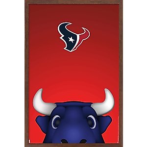 Trends International NFL Houston Texans - S. Preston Mascot Toro 20 Wall Poster, 22.375" x 34", Mahogany Framed Version