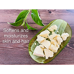 Oslove Organics Cupuacu butter -Pure and Natural 8oz Fresh, Rich and Creamy in DIY mixes | Vegan butter | Use for whipped body butters, salves, lotions & soaps.