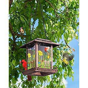 DesGully Bird Feeders for Outdoors Hanging - 2.5 LBs Wild Birds Metal Solar Bird Feeder for Outside Gift Ideas for Bird Lovers Garden Yard Bird Seeds (Chew-Proof,Weather Resistance)