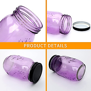 QAPPDA 32 OZ Glass Jars with Lids Set of 12,Colorful Wide Mouth 1000ML Glass Mason Jar with Airtight Lid,Durable Glass Food Storage Canning Jars for DIY Crafts,Dry Food,Jams,Preserving